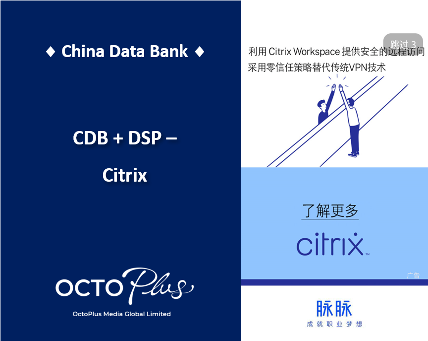 B2B Marketing to Chinese Enterprise C-level | China Data Bank | Citrix