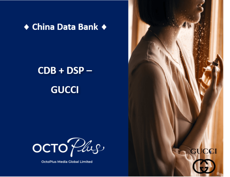 Chinese HNWI and Luxury Shopper Target Audience Marketing | China Data ...