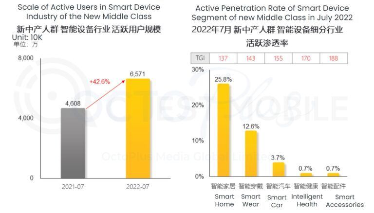 2022 China's 163 Million New Middle-Class Insight Report